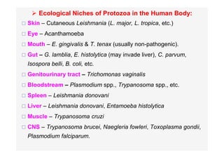 Unit-2 Parsitology, Protozoology... full....pdf
