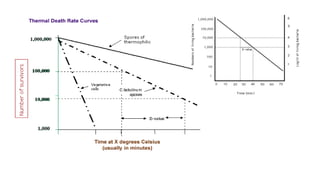 Evaluation of the efficiency of sterilization methods. Sterility ...