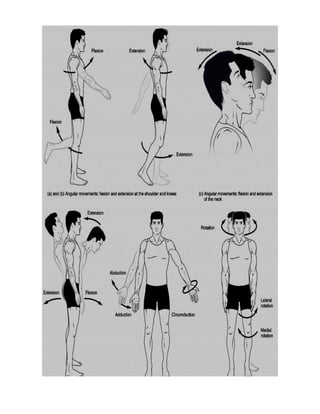 UNIT-2PDF Classification of Joints (1).pdf