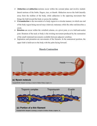 UNIT-2PDF Classification of Joints (1).pdf