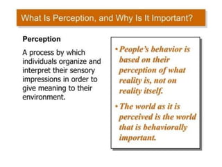 Unit-2 PERCEPTION.pdf