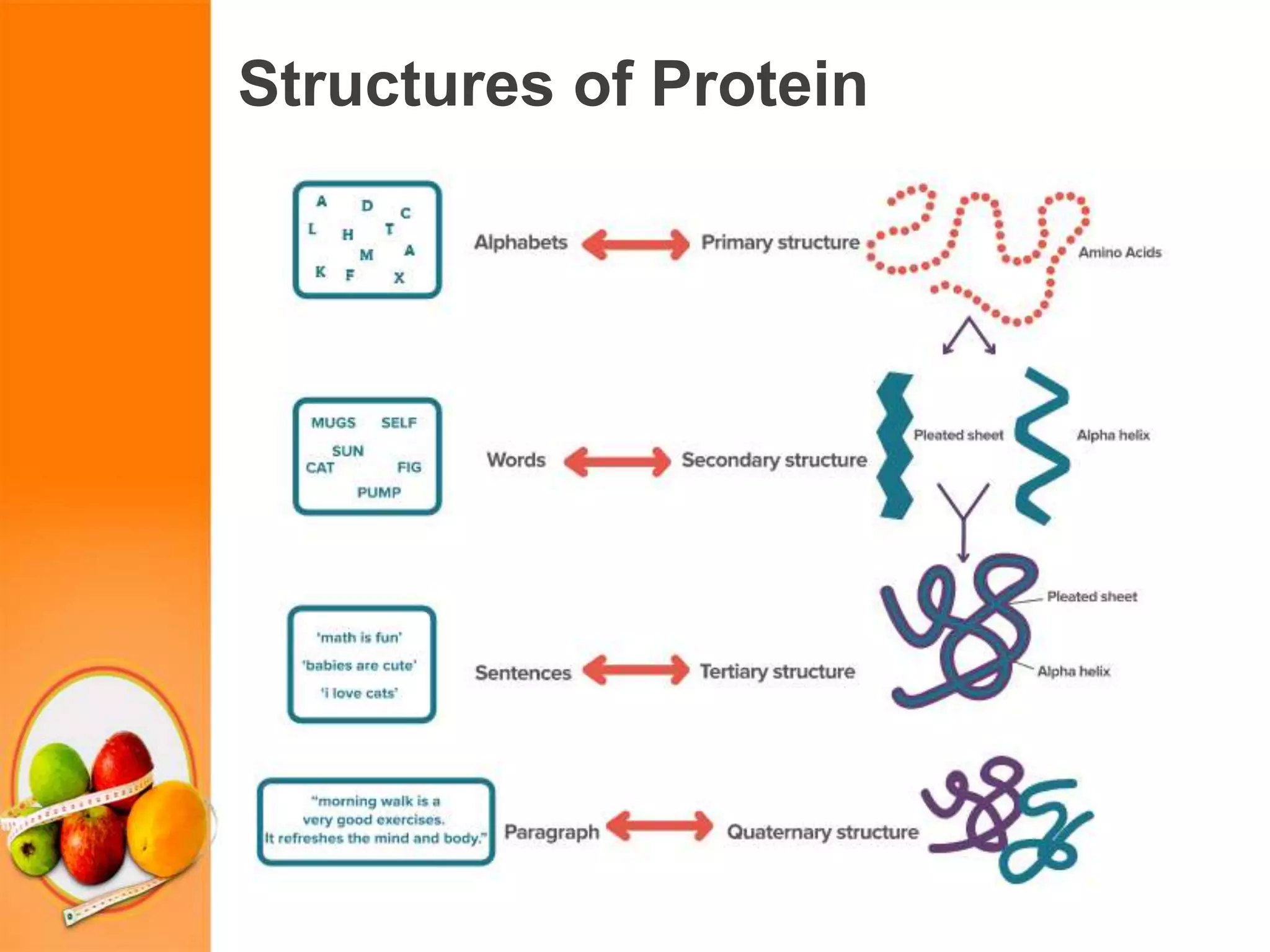 Proteins classification, source, function & RDA | PPTX