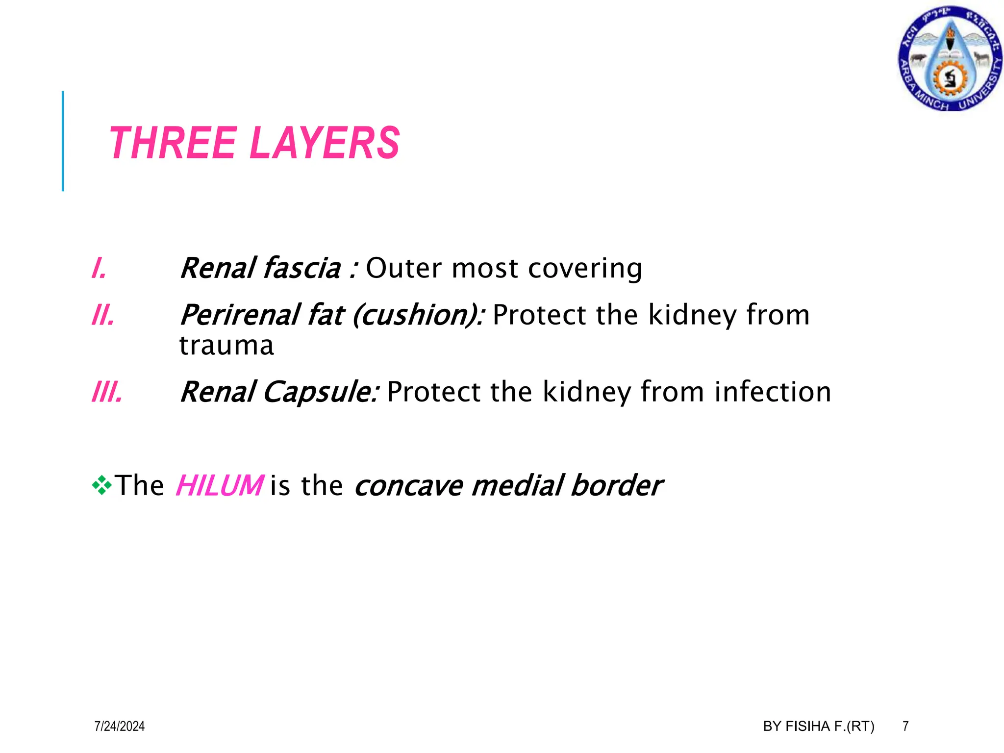 Unit-2 Special Radiographic Procedure of the urinary system-Fisiha F ...