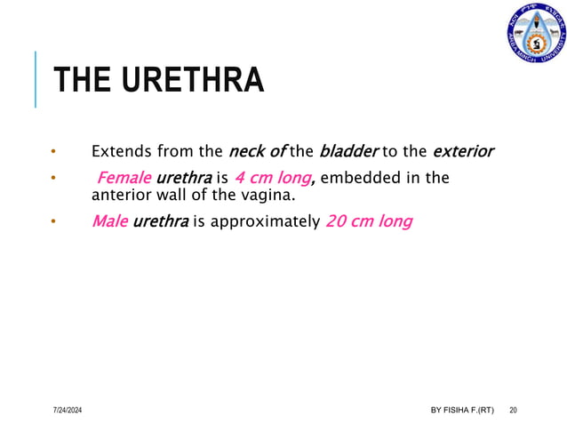 Unit-2 Special Radiographic Procedure of the urinary system-Fisiha F.(RT).ppt