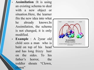 Unit-2 Theory of Cognitive Development.pptx