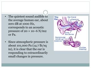 acoustics on human ear | PPTX
