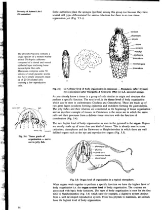 Unit 3 | PDF
