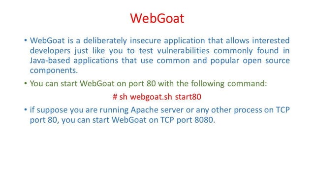 Cyber Security - Unit - 3 - Web Application Tools Scanning for web vulnerabilities Tools | PDF