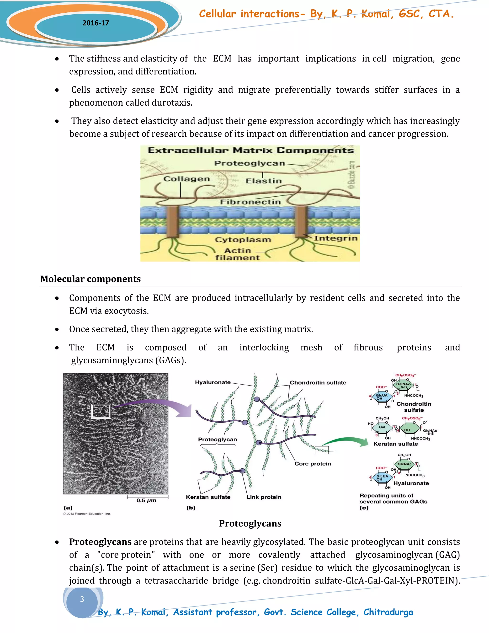 Unit 3-cell cell interactions | PDF | Biological Sciences | Science