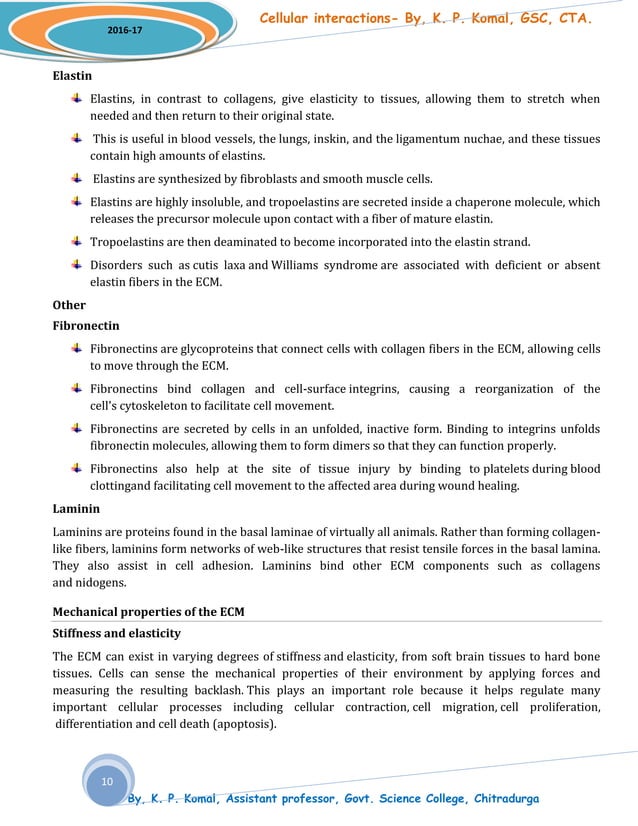 Unit 3-cell cell interactions | PDF | Biological Sciences | Science