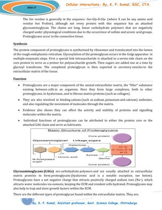 Unit 3-cell cell interactions | PDF | Biological Sciences | Science