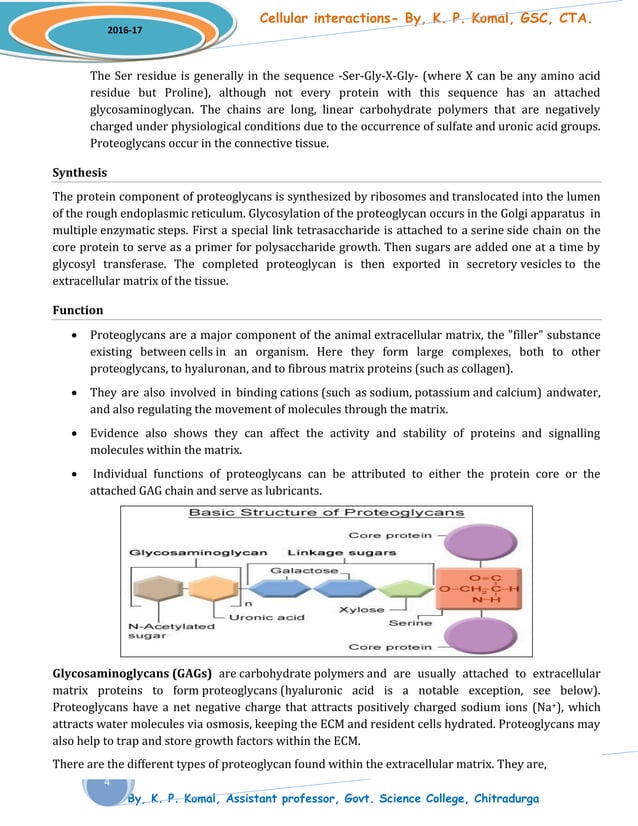 Unit 3-cell cell interactions | PDF | Biological Sciences | Science