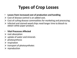 Unit-3-crop-protection.pptx