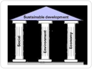 SOCIAL ISSUES AND THE ENVIRONMENT | PPT