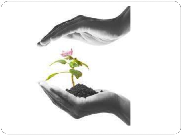 SOCIAL ISSUES AND THE ENVIRONMENT | PPT