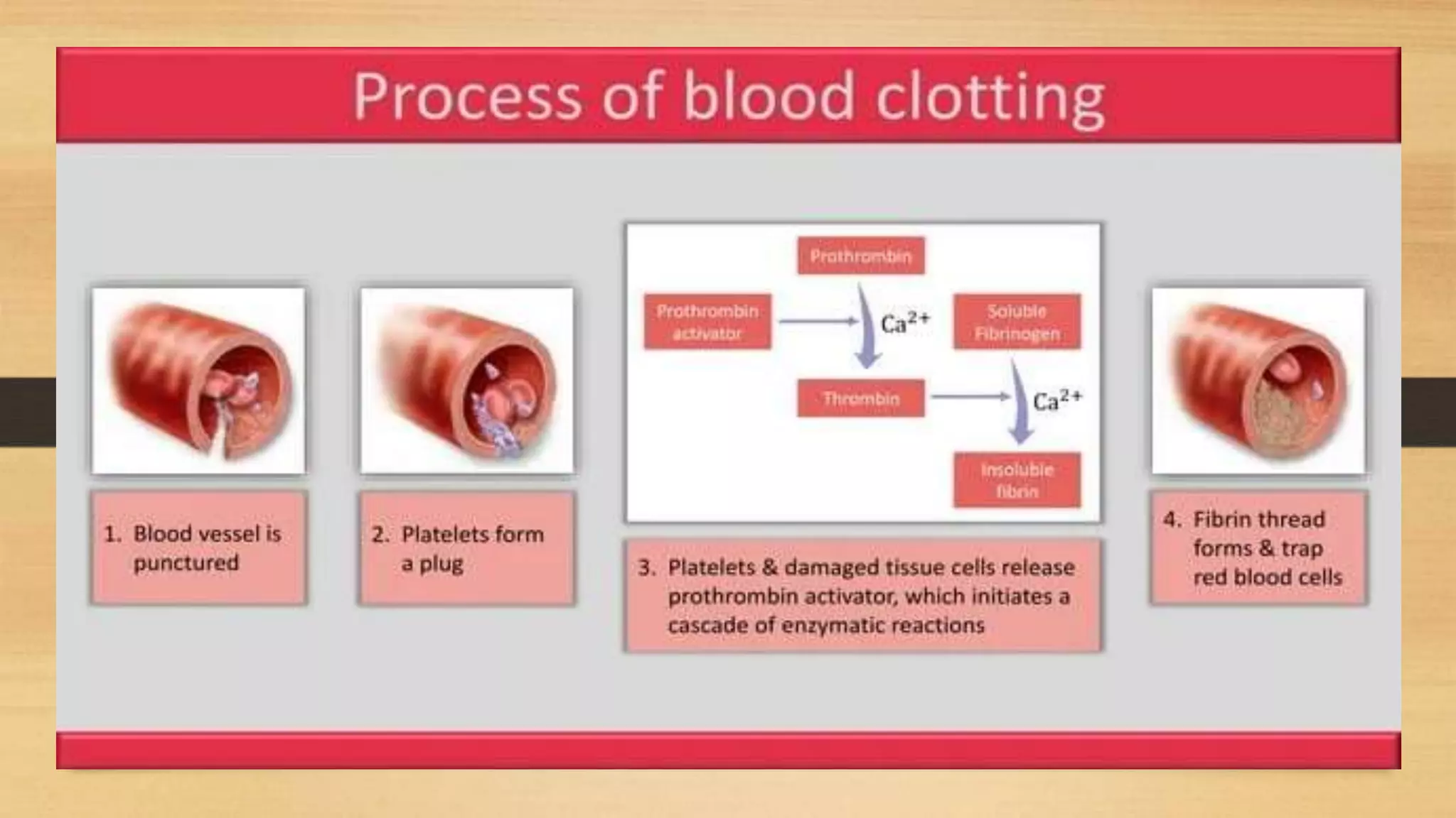 Unit-3(a3) Blood.pptx