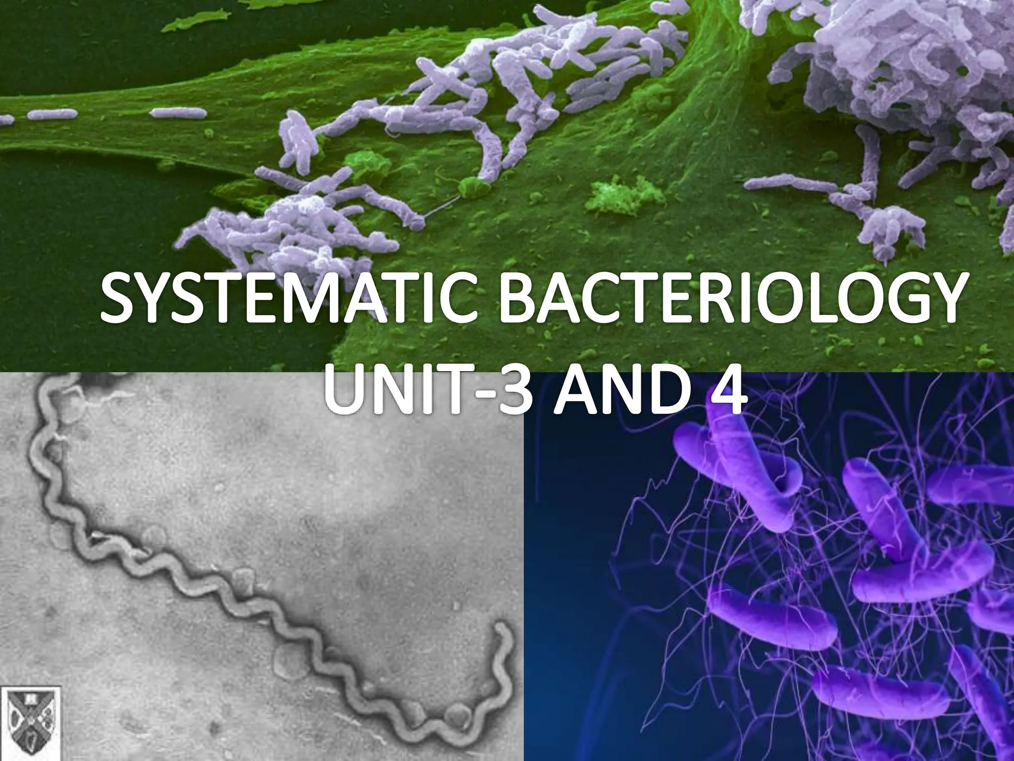 UNIT-3 AND 4 systematic.pptx