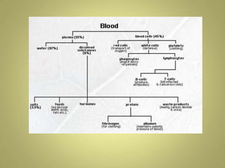 UNIT-3 BLOOD 1st gnm according to the sy. | PPTX