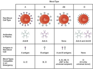 unit-3 blood product B.Pharma 3rd year .pptx