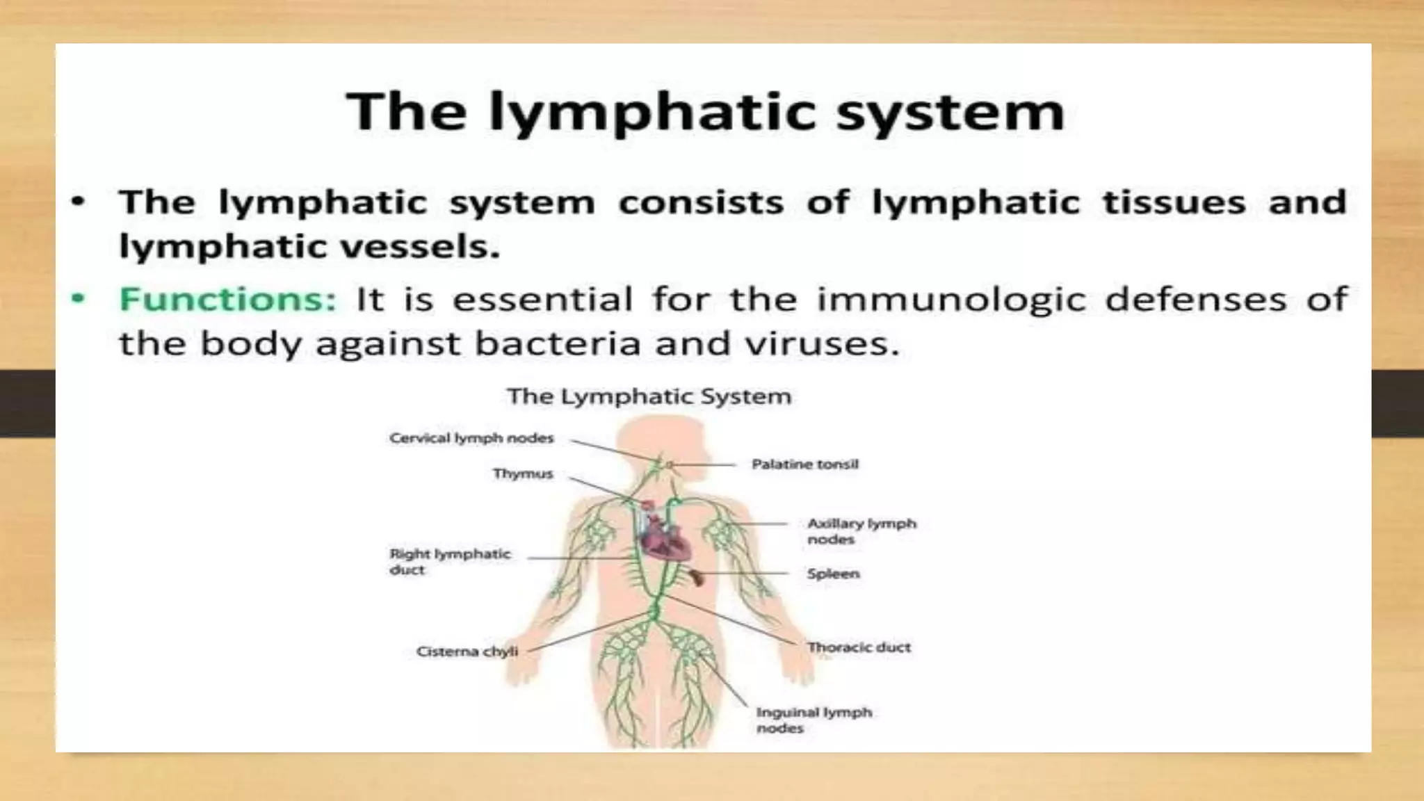 Unit-3(b) Lymphatic System.pptx