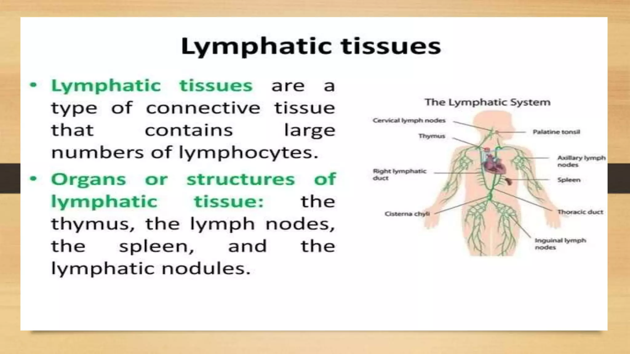 Unit-3(b) Lymphatic System.pptx