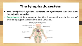 Unit-3(b) Lymphatic System.pptx