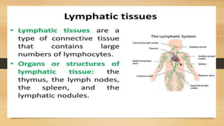 Unit-3(b) Lymphatic System.pptx