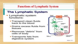 Unit-3(b) Lymphatic System.pptx
