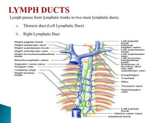 UNIT -3 CHEPTER -2 LYMPHATIC SYSTEM.pptx
