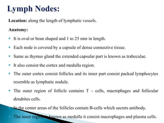 UNIT -3 CHEPTER -2 LYMPHATIC SYSTEM.pptx