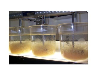 Coagulation and Flocculation Process in water Treatmentppt | PPT
