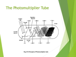 THE PHOTOMULTIPLIER TUBE-Biosensors and Transducers | PDF