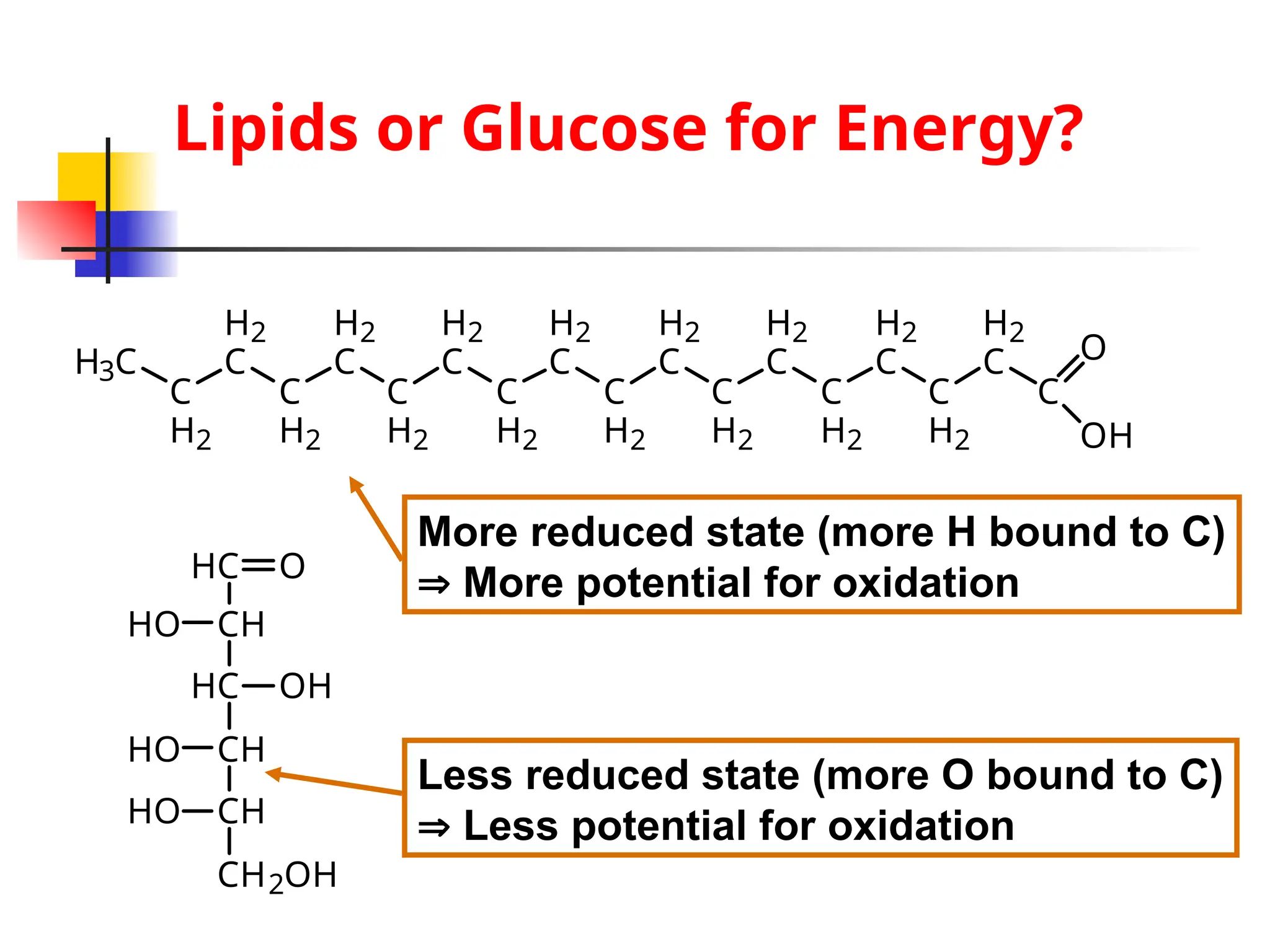 Unit-3 The Structure and Functionsof Lipids - Copy.ppt