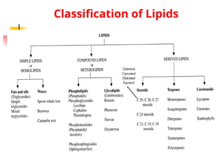 Unit-3 The Structure and Functionsof Lipids - Copy.ppt
