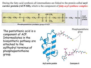 Unit-3 The Structure and Functionsof Lipids - Copy.ppt