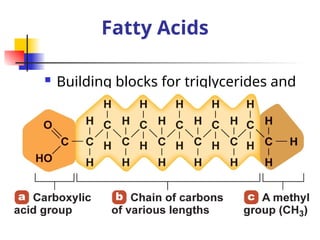 Unit-3 The Structure and Functionsof Lipids - Copy.ppt