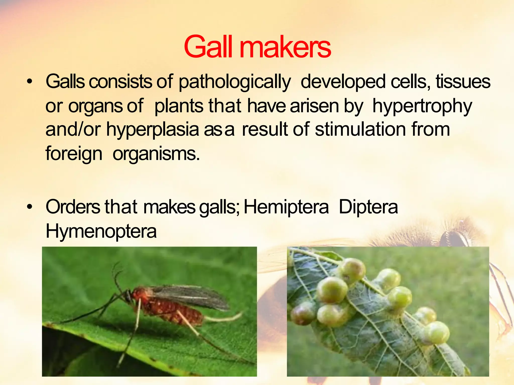 Evolution of Resource Harvesting Organs with Resilience of Insects and ...