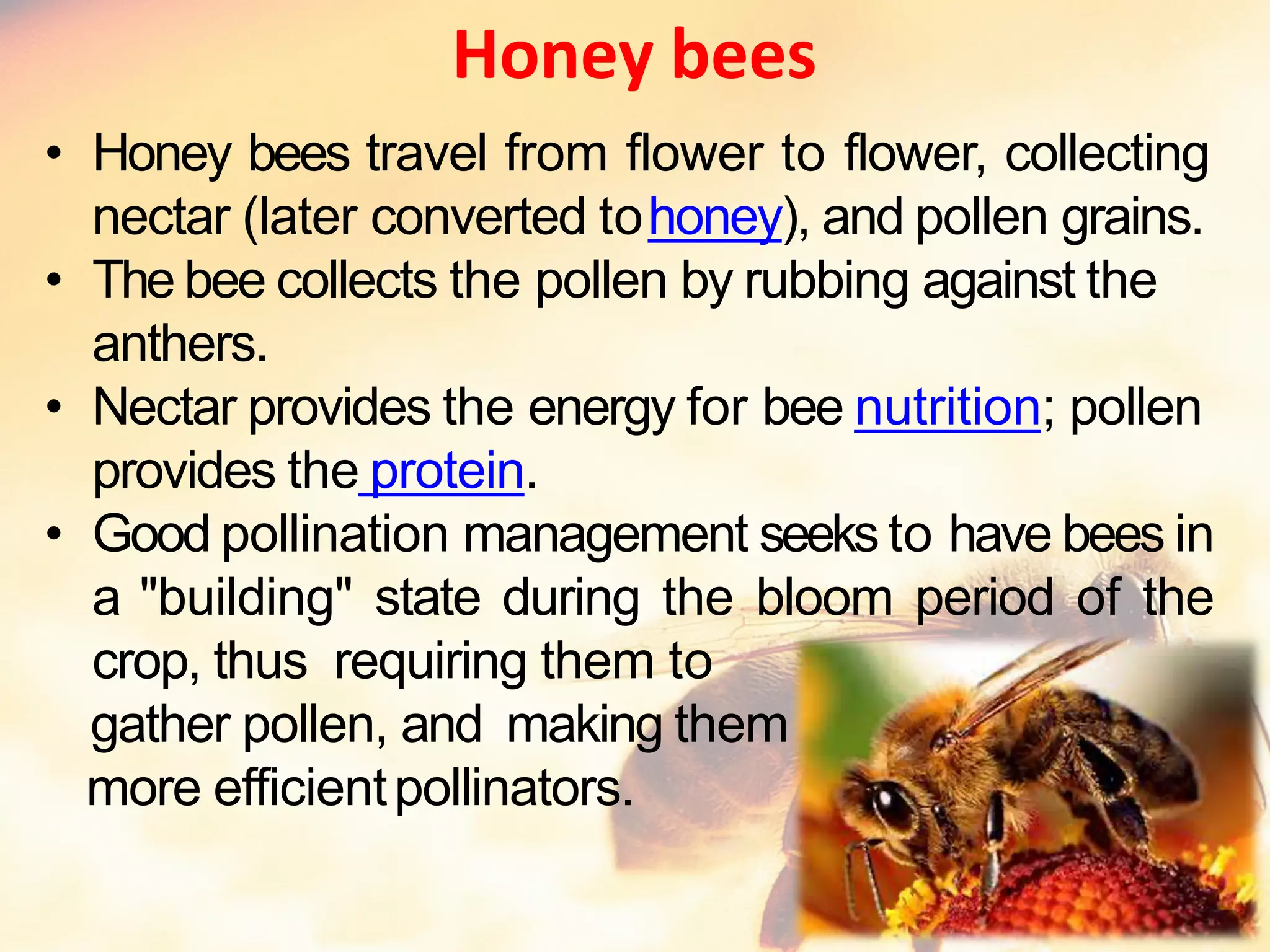 Evolution of Resource Harvesting Organs with Resilience of Insects and ...