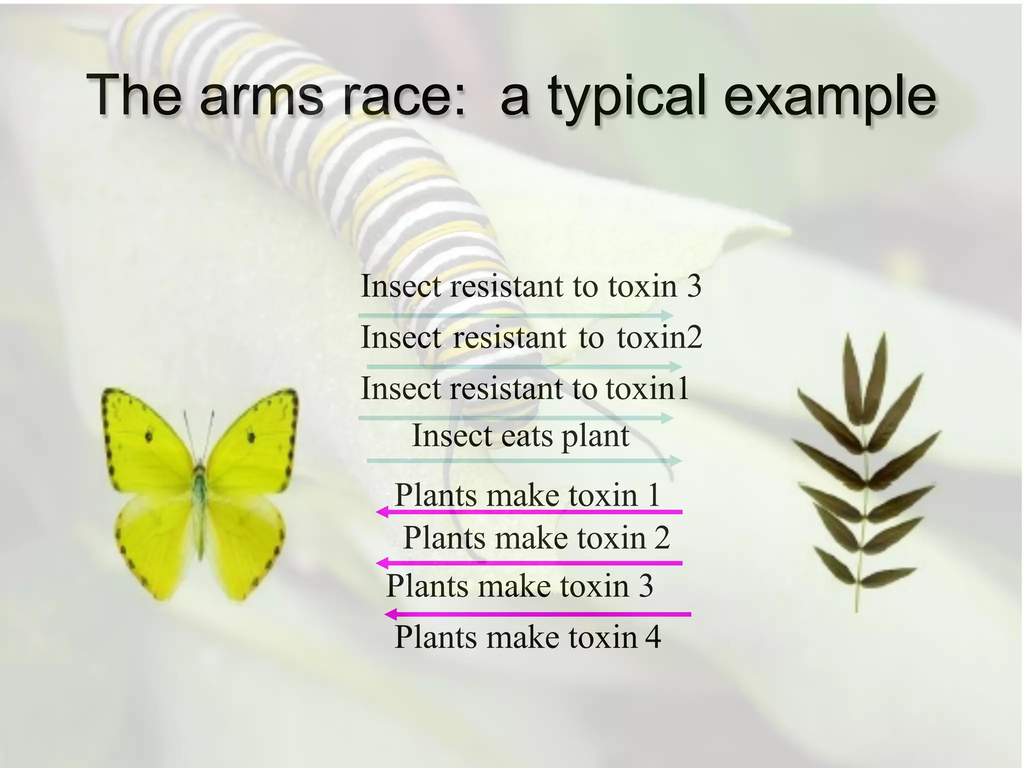 Evolution of Resource Harvesting Organs with Resilience of Insects and ...