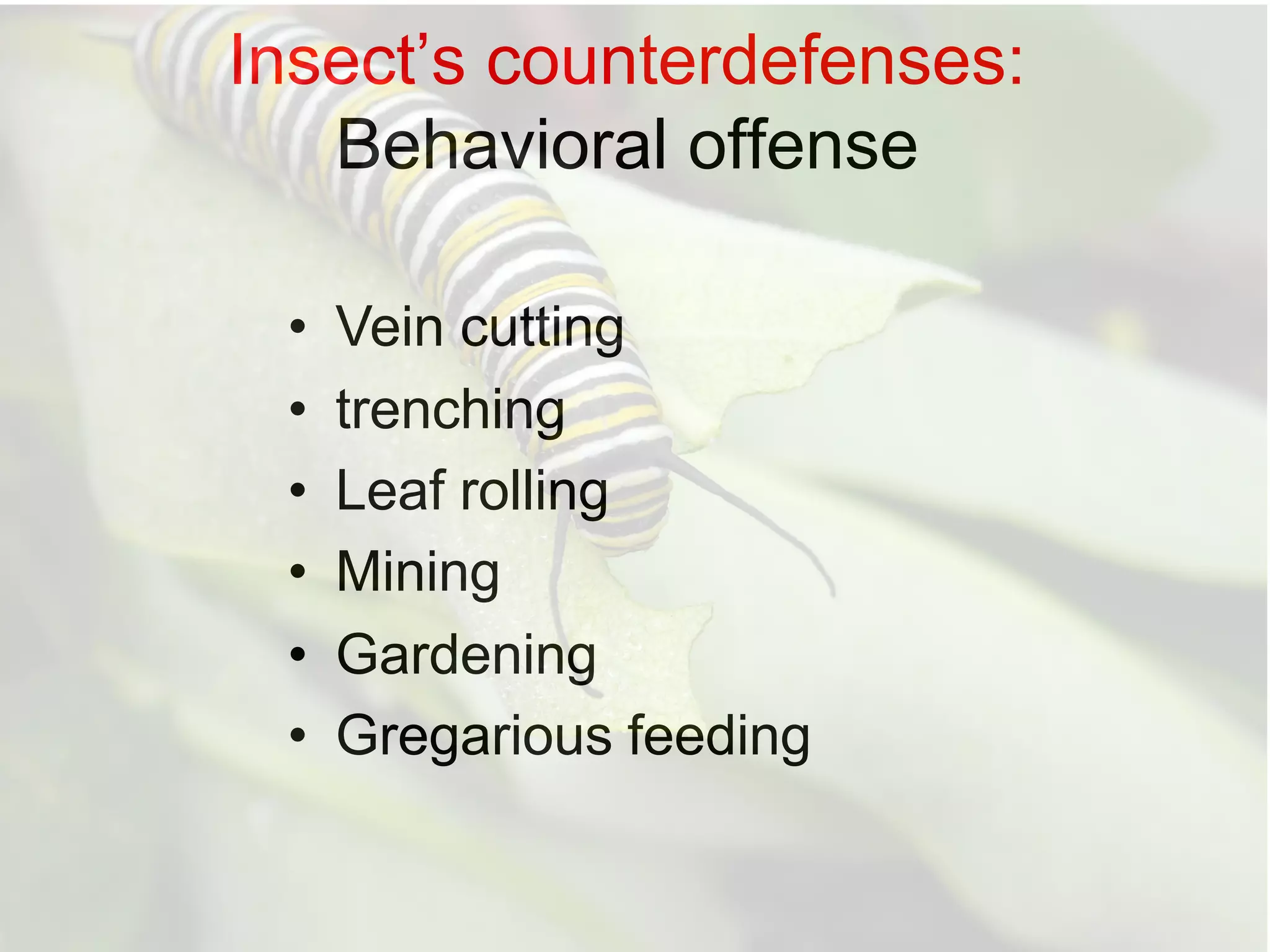 Evolution of Resource Harvesting Organs with Resilience of Insects and ...