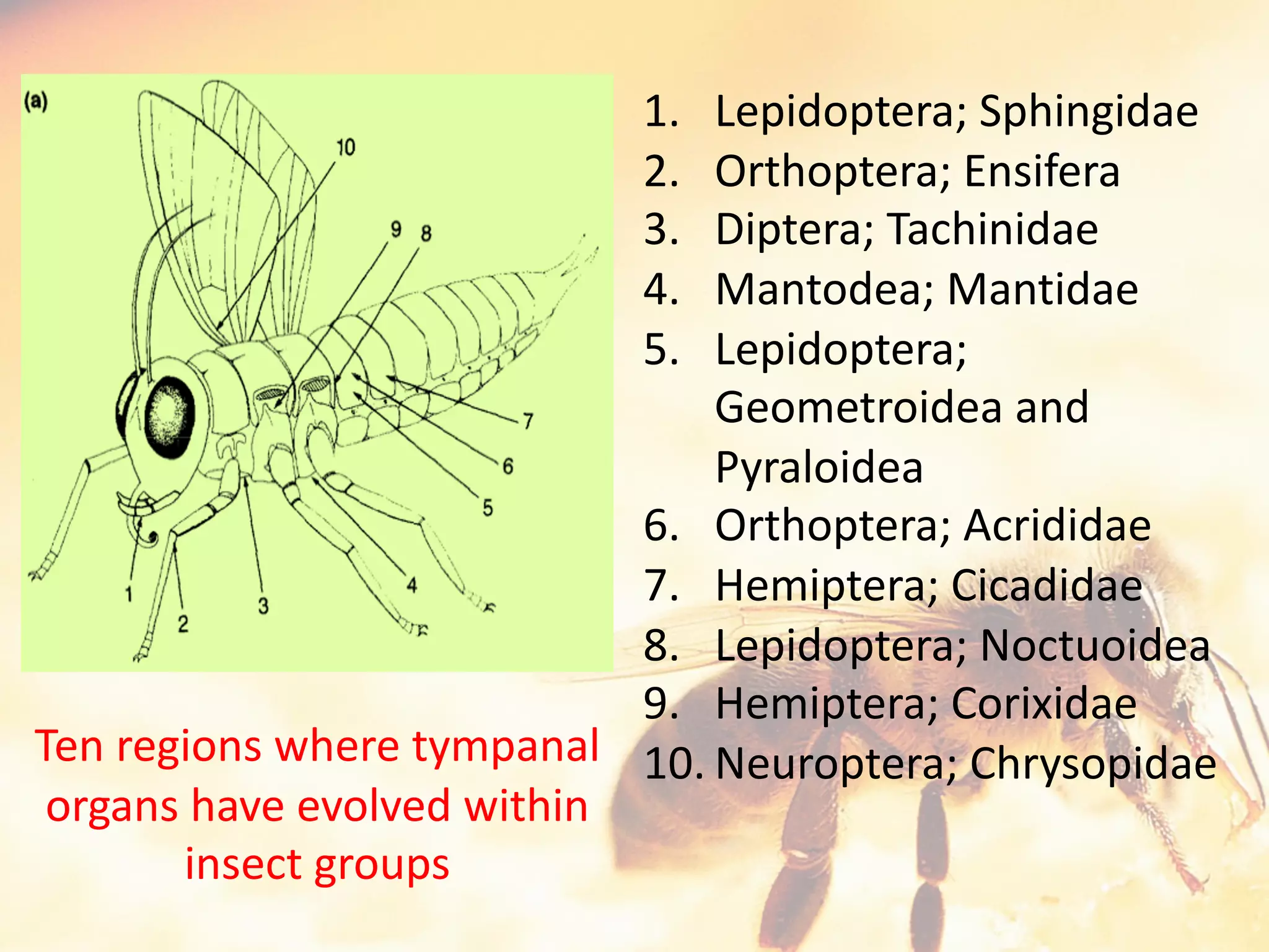 Evolution of Resource Harvesting Organs with Resilience of Insects and ...