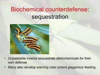 Evolution of Resource Harvesting Organs with Resilience of Insects and ...
