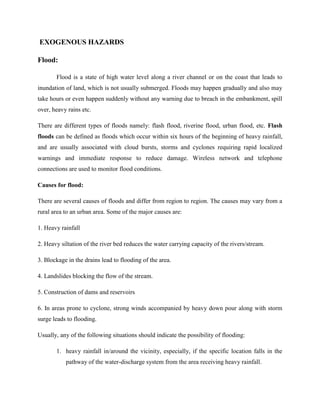 EXOGENOUS HAZARDS docx | DOCX