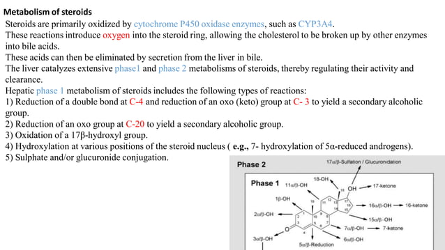 Drugs acting on Endocrine system | PDF | Endocrine and Metabolic Diseases | Diseases and Conditions