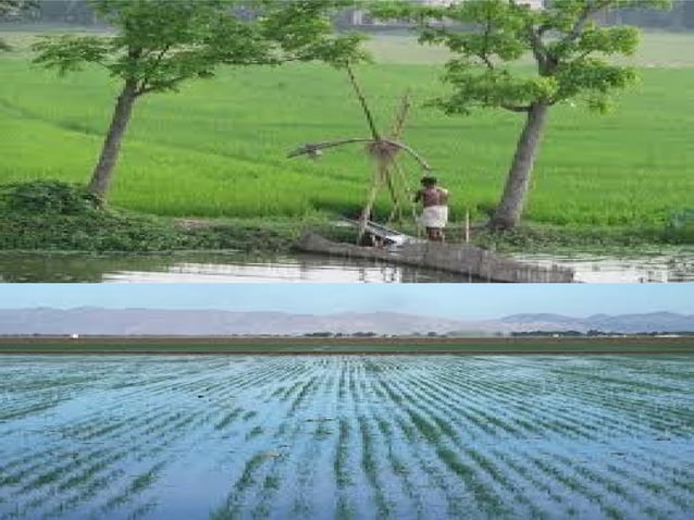 UNIT - 4 - Irrigation duty crop period alignment of canals | PPT