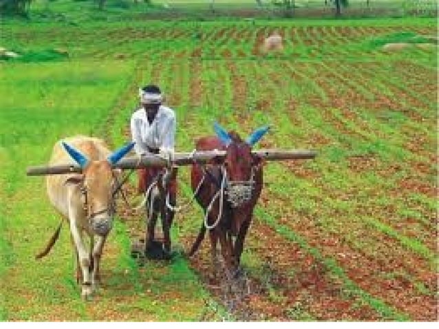 UNIT - 4 - Irrigation duty crop period alignment of canals | PPT