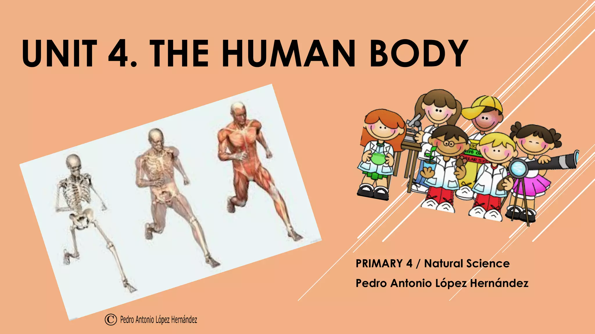 Unit 4-the-human-body | PDF