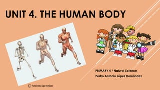 Unit 4-the-human-body | PDF
