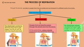 Unit 4-the-human-body | PDF