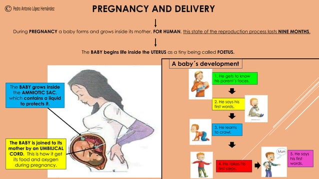 Unit 4-the-human-body | PDF